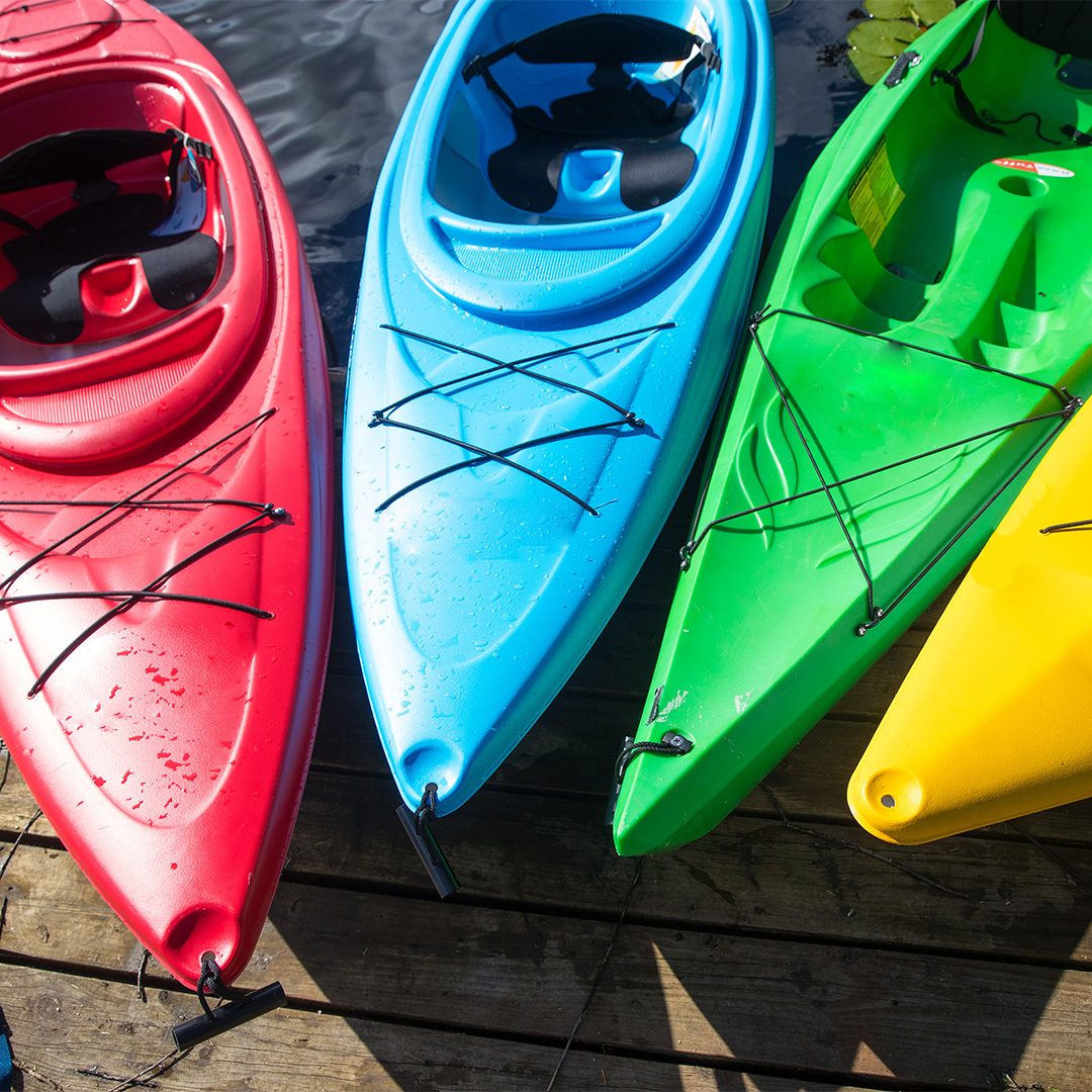 Summer Has Arrived! - Tinley Park Public Library